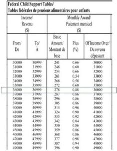 The Calculation of Child Support: A Basic Guideline