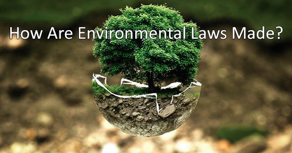 How Are Environmental Laws Made? - LawNow Magazine