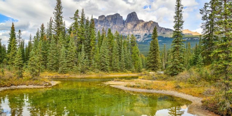 Indigenous Law vs. Aboriginal Law: What’s the difference?